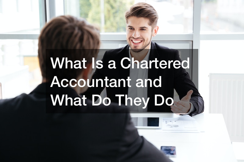 What Is a Chartered Accountant and What Do They Do - What Is Legal Advice