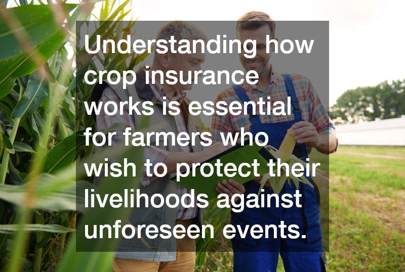 Understanding Crop Insurance - What Is Legal Advice